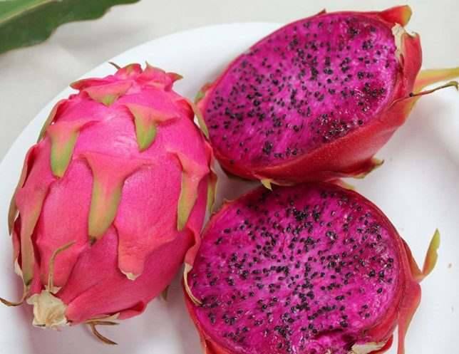 Pitaya – Pateando el mundo